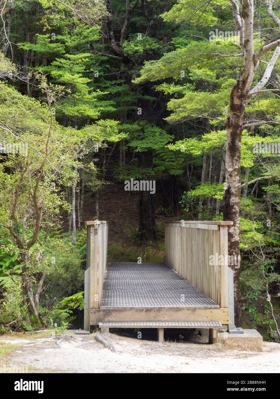 Creek Footbridge High Resolution Stock Photography and Images - Alamy
