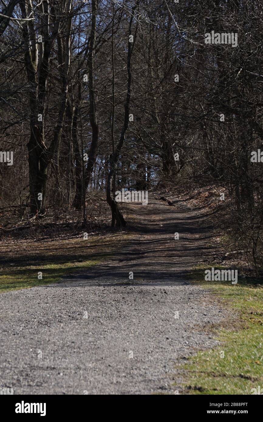 Entering path from light to dark Stock Photo - Alamy