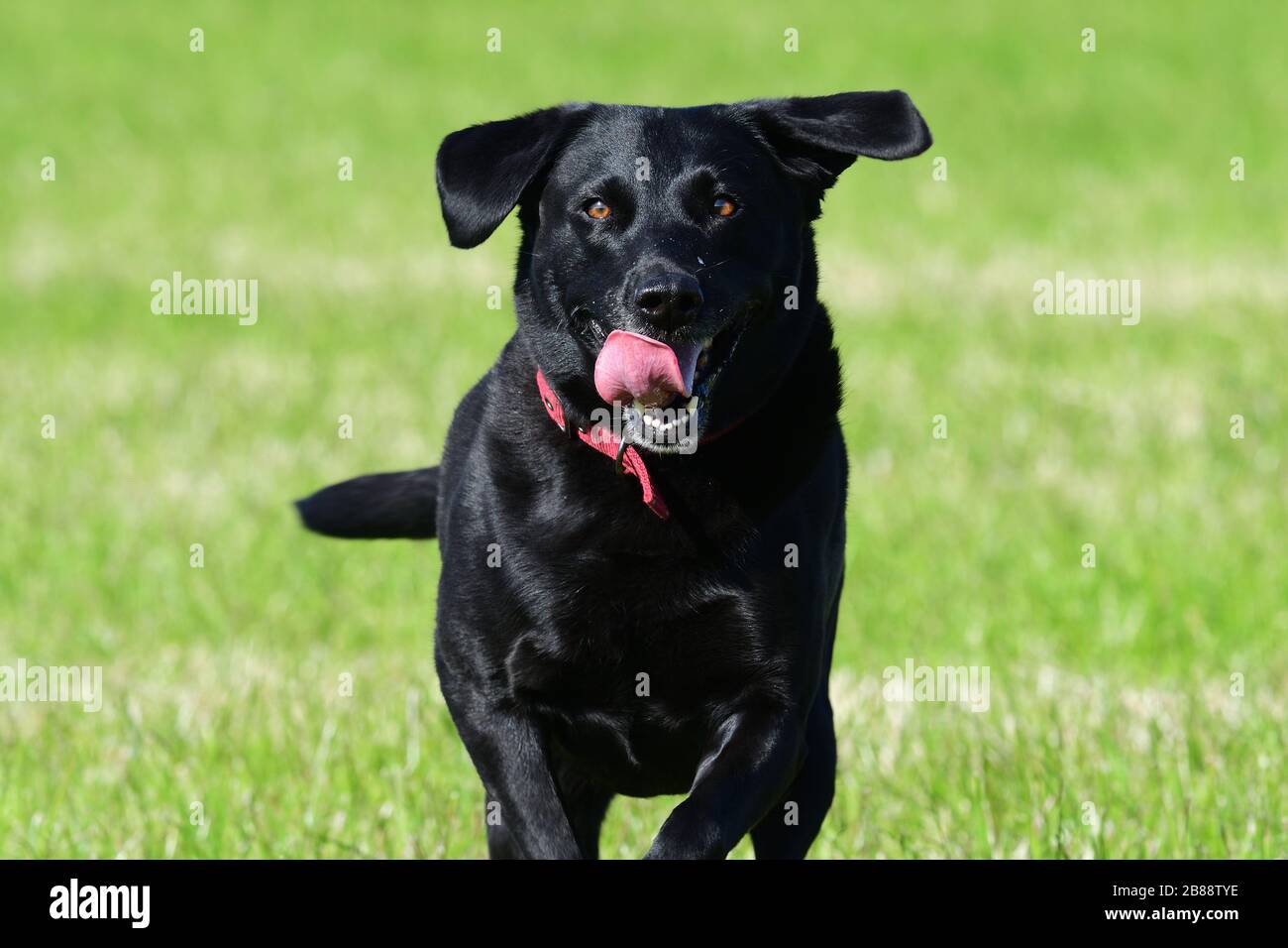 Horizotal view hi-res stock photography and images - Alamy