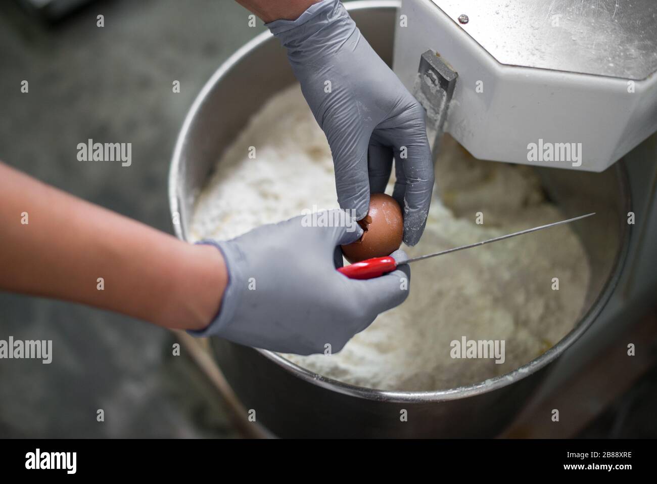 Woman kneading dough bread manufacturing hi-res stock photography and ...