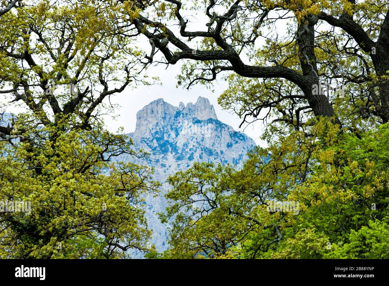 Vanishing planet hi-res stock photography and images - Alamy