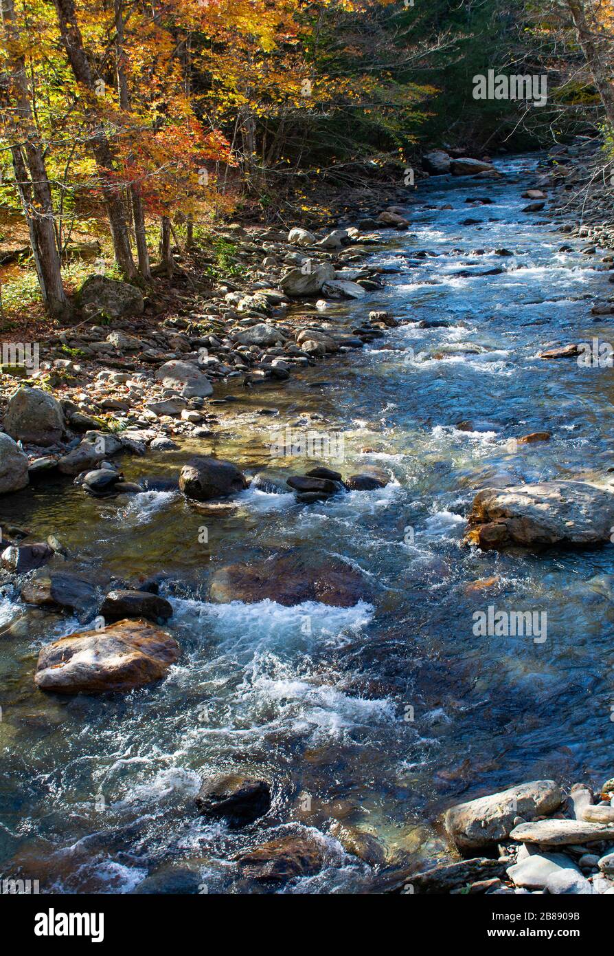 Blue brook hi-res stock photography and images - Alamy