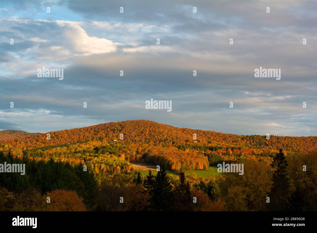 Northeast kingdom hi-res stock photography and images - Alamy