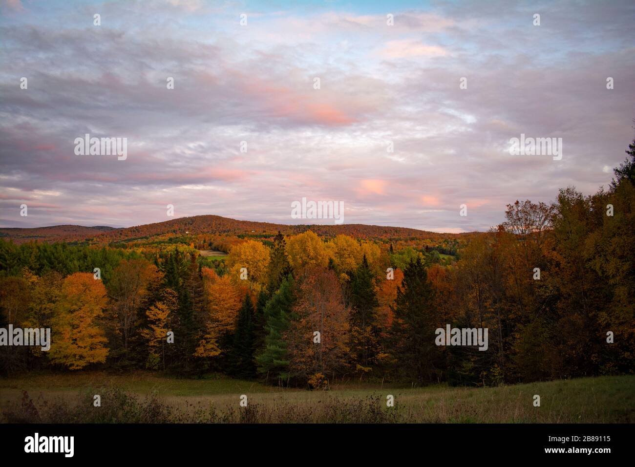 Lyndon vt hi-res stock photography and images - Alamy
