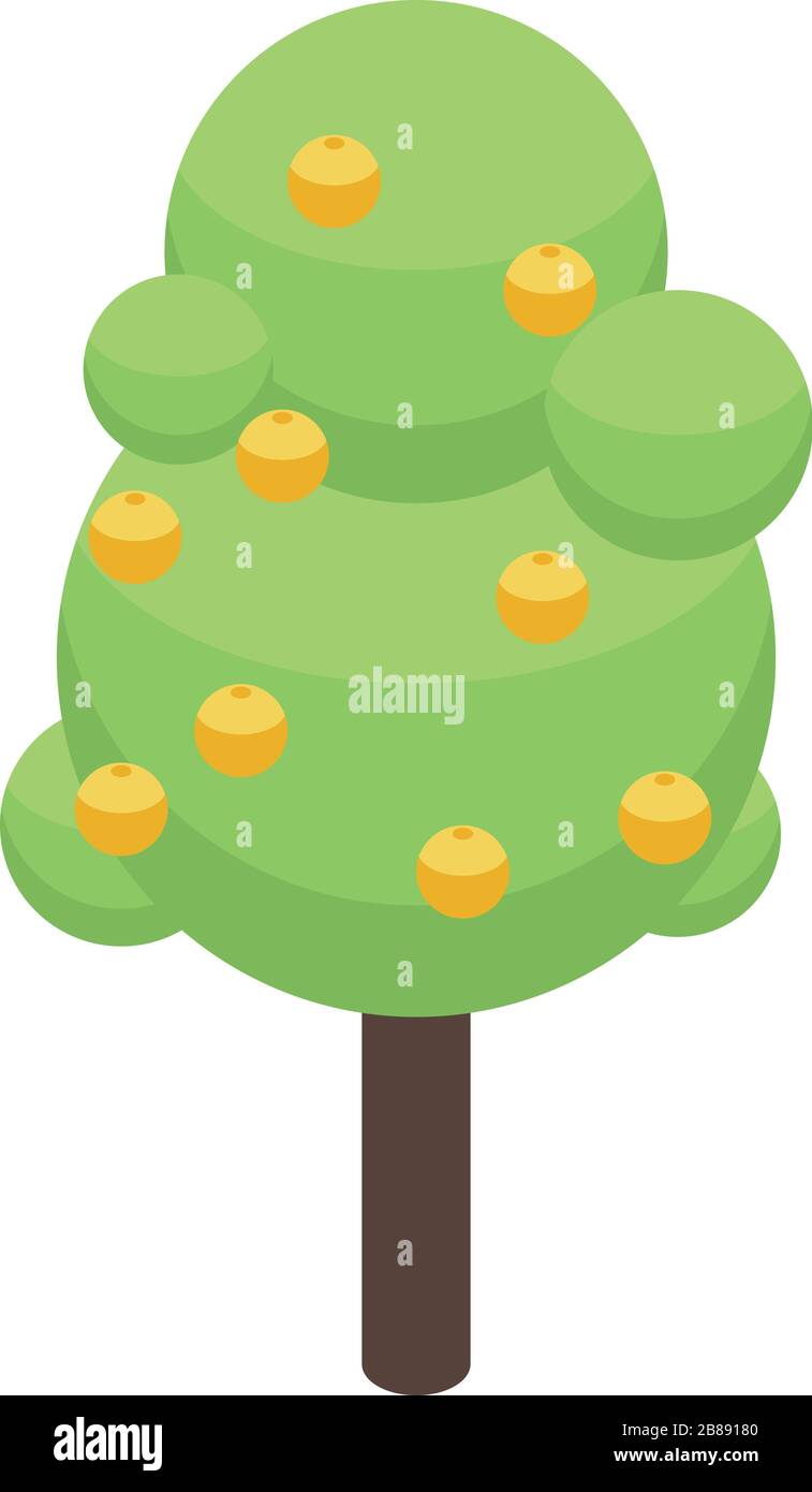 Apricot tree icon, isometric style Stock Vector Image & Art - Alamy