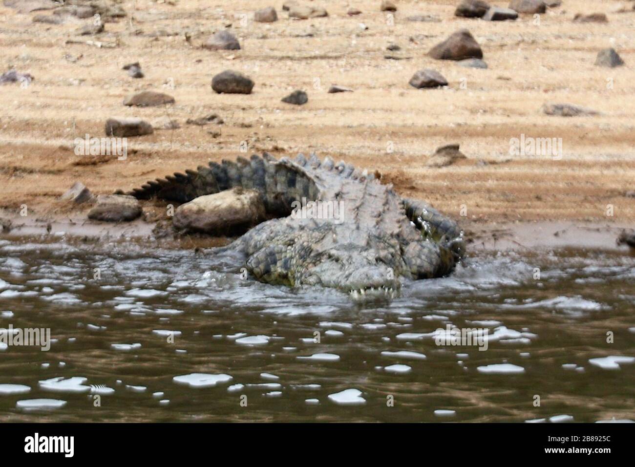 Blade river canyon hi-res stock photography and images - Alamy