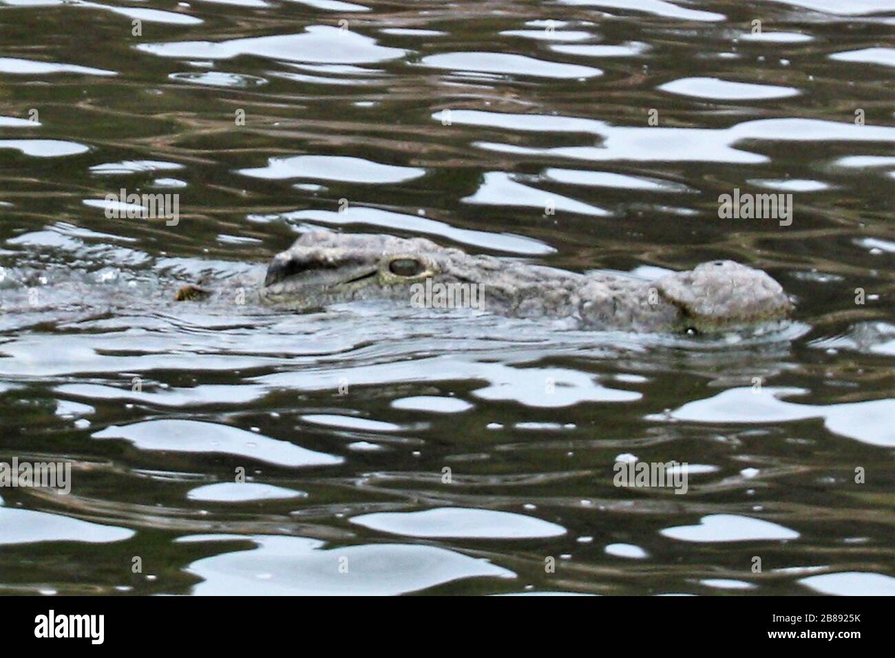 Blade River Canyon High Resolution Stock Photography and Images - Alamy