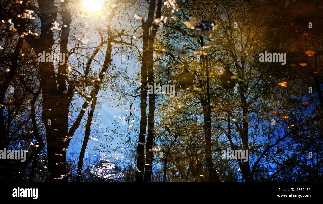 Reflections in puddles hi-res stock photography and images - Alamy
