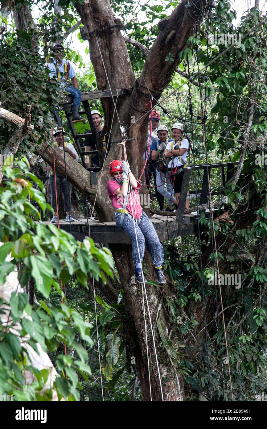 Rainforest jungle canopy hi-res stock photography and images - Alamy