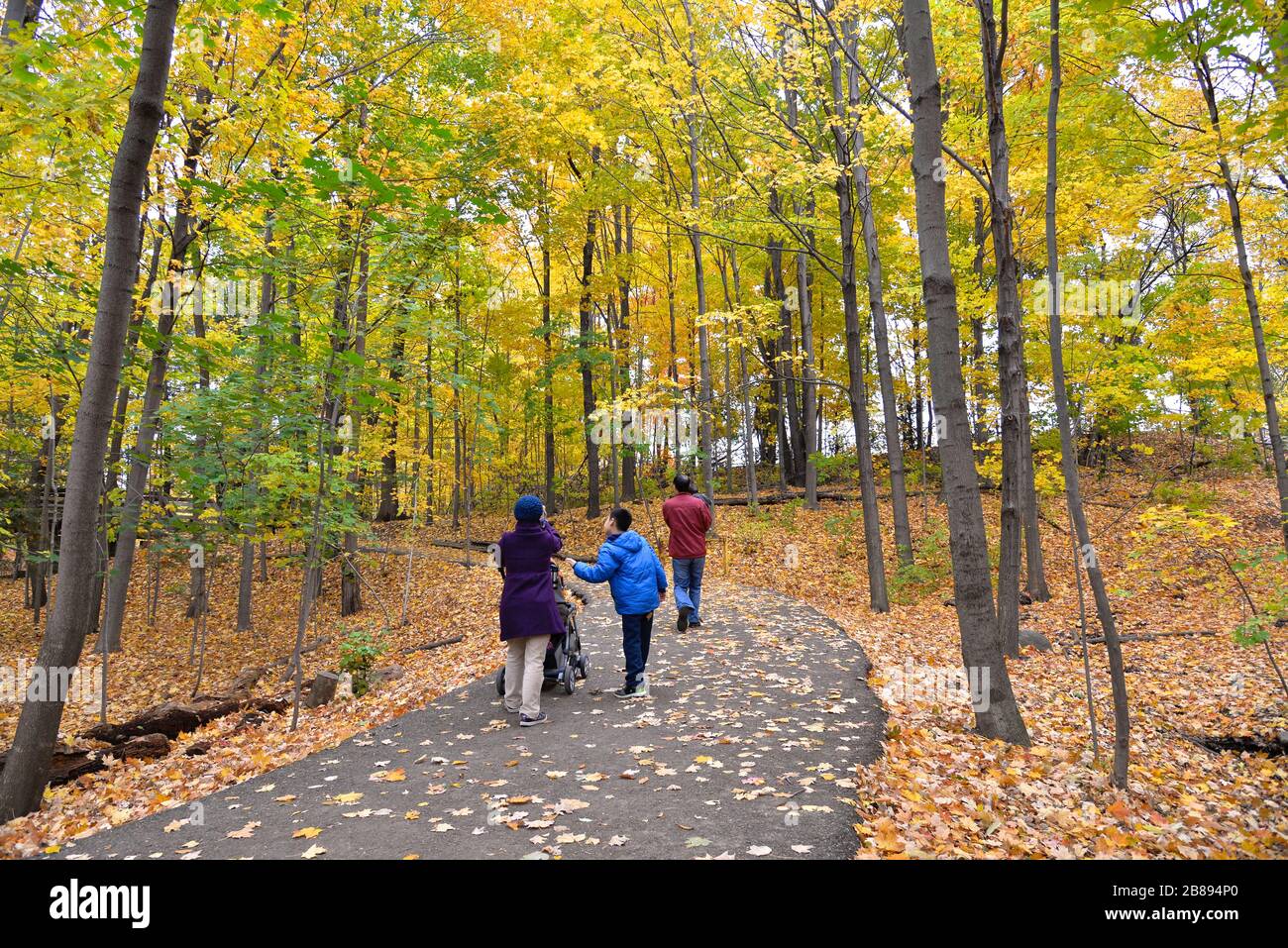 Happy family walking outside, healthy lifestyle Stock Photo - Alamy