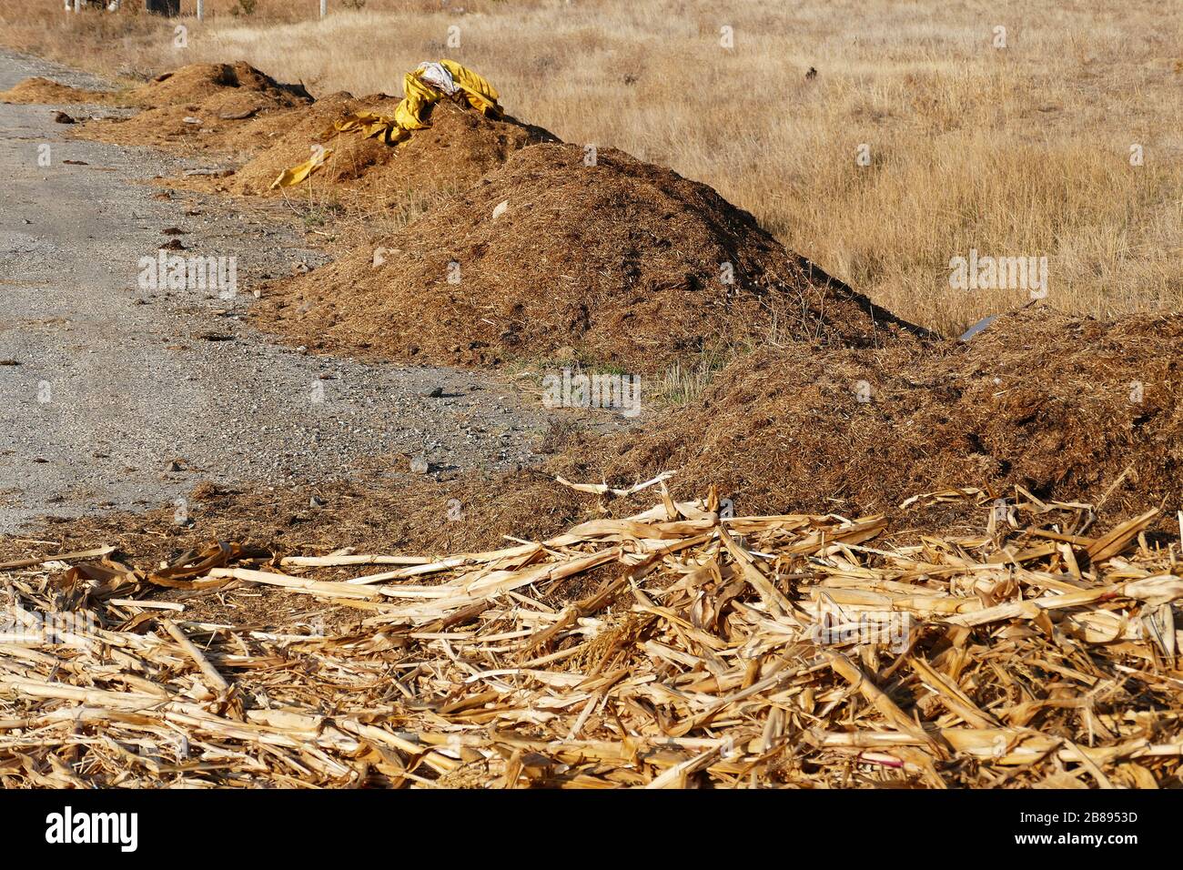 rotten straw and wastes, environmental pollution Stock Photo - Alamy