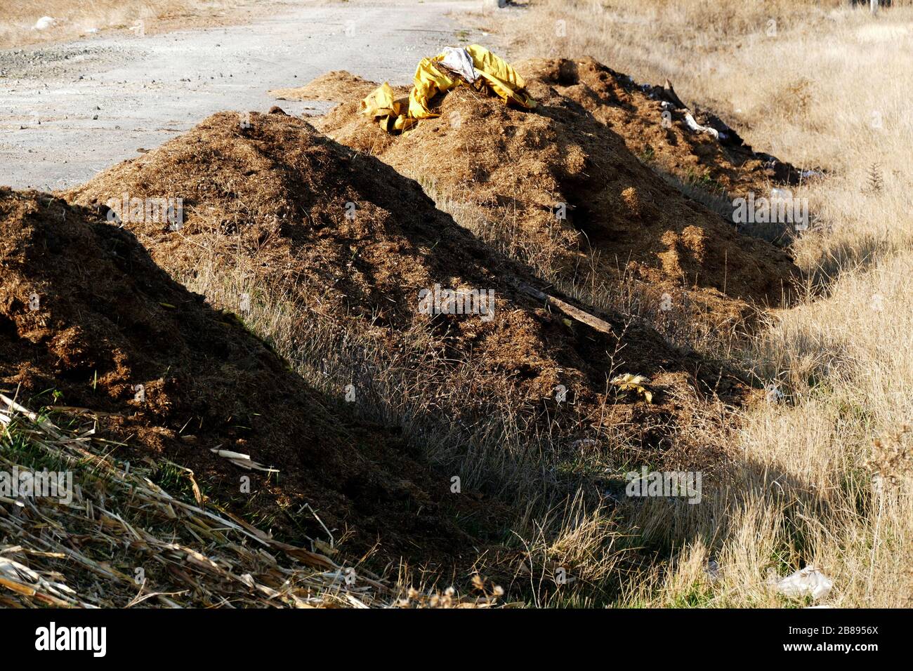 rotten straw and wastes, environmental pollution,people pollute the ...