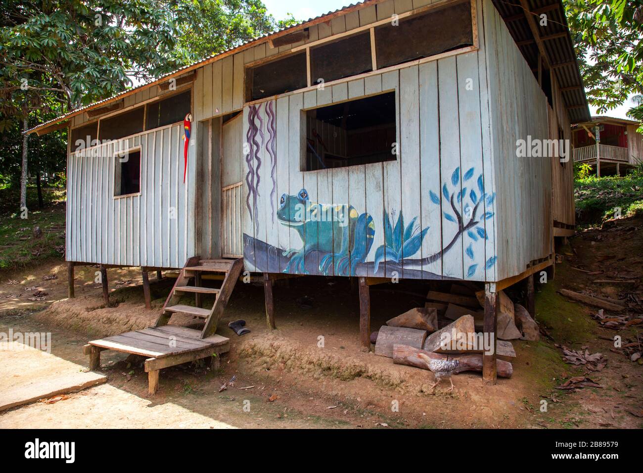 Exotic paintings on Indian houses of the Ticuna tribe community ...