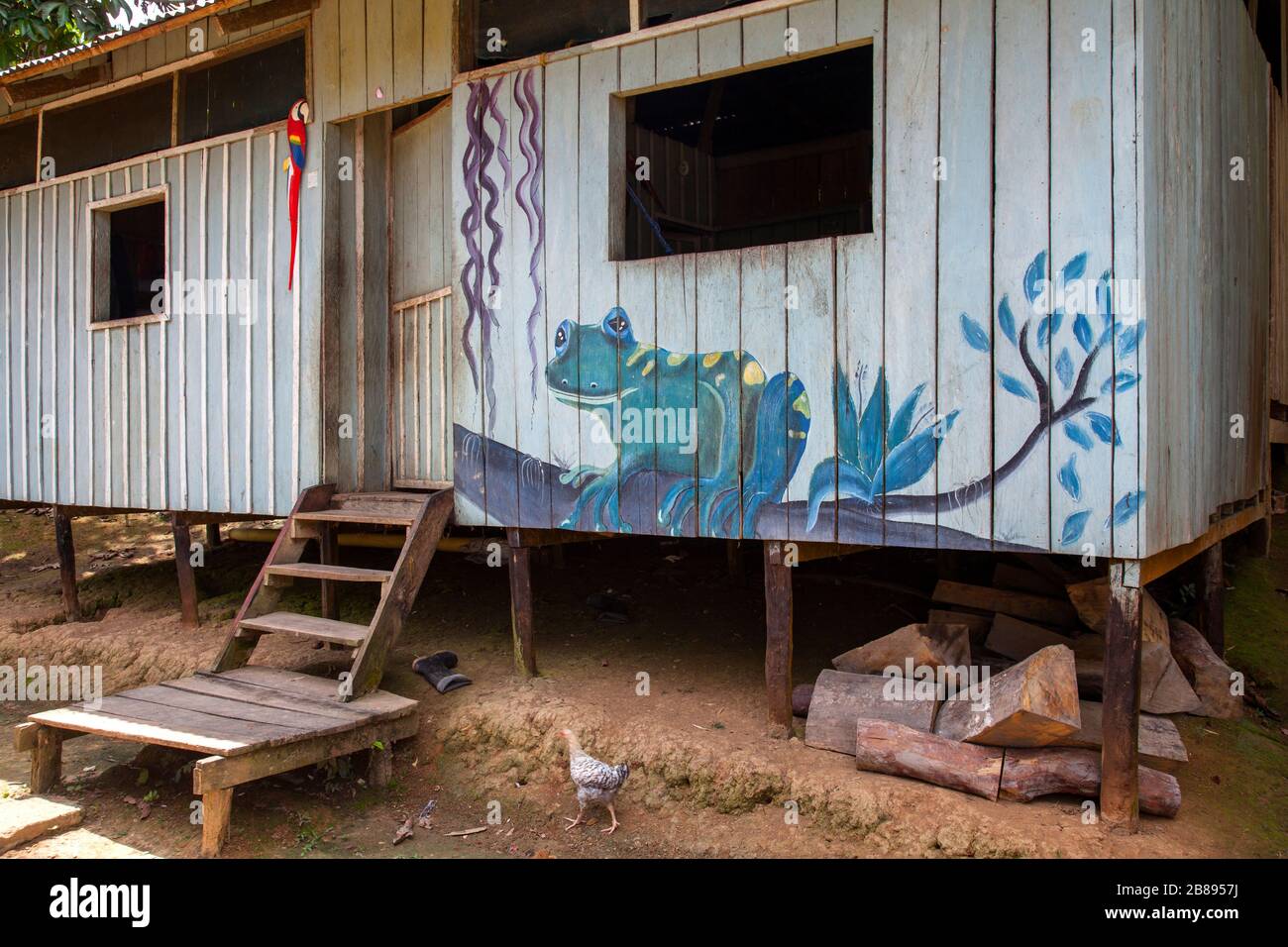 Exotic paintings on Indian houses of the Ticuna tribe community ...