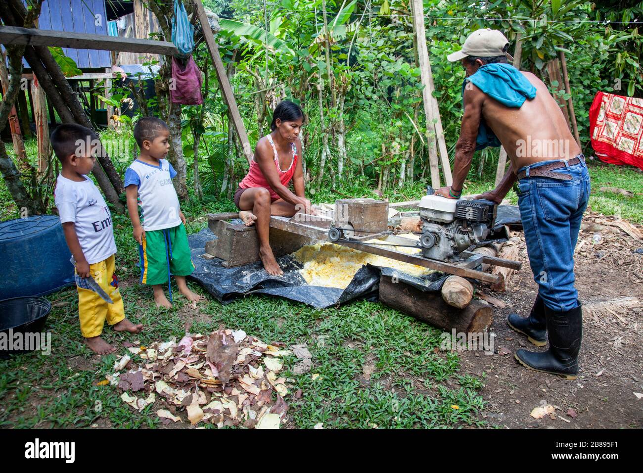 Tribe family forest hi-res stock photography and images - Alamy