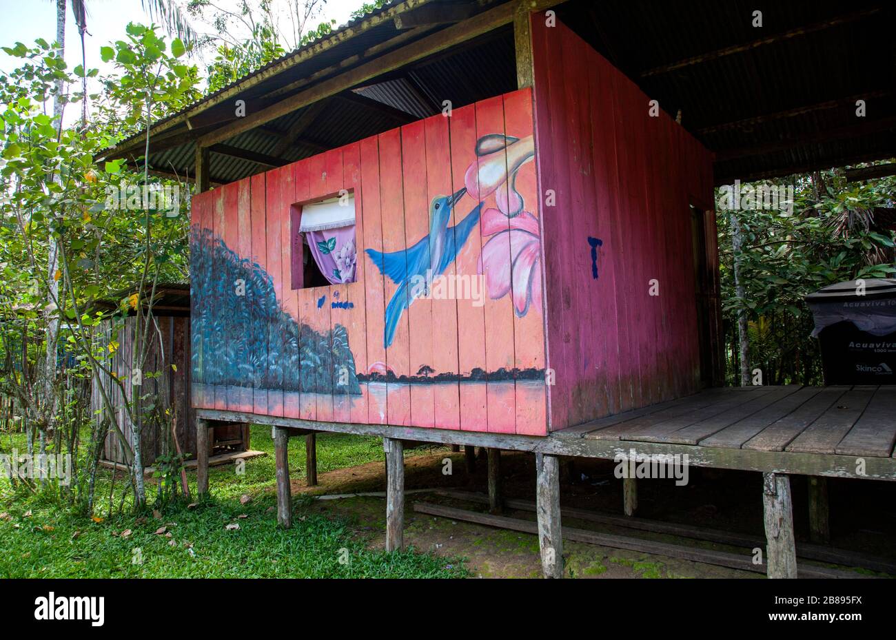 Exotic paintings on houses of the Ticuna tribe community, Mocagua ...