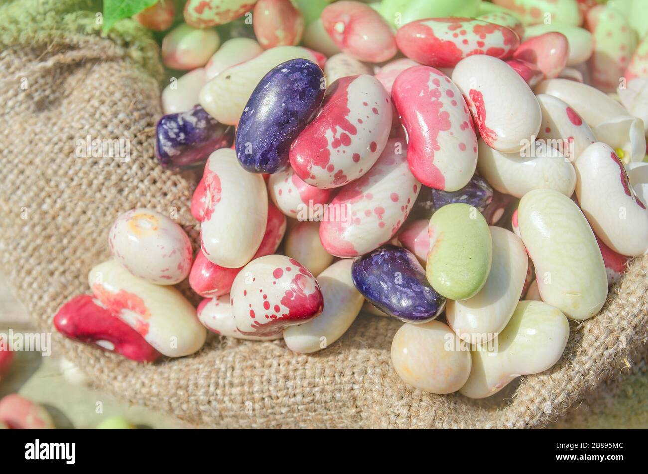 Butter bean or lima beans in burlap bag. Beans in sack top view Stock ...