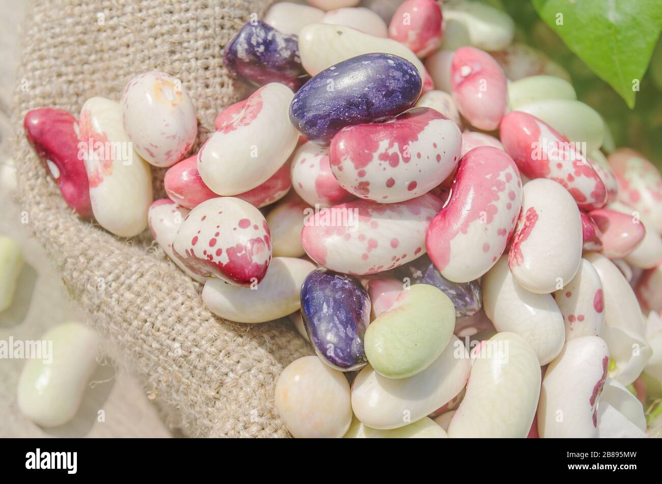 Cannellini and butter bean hi-res stock photography and images - Alamy