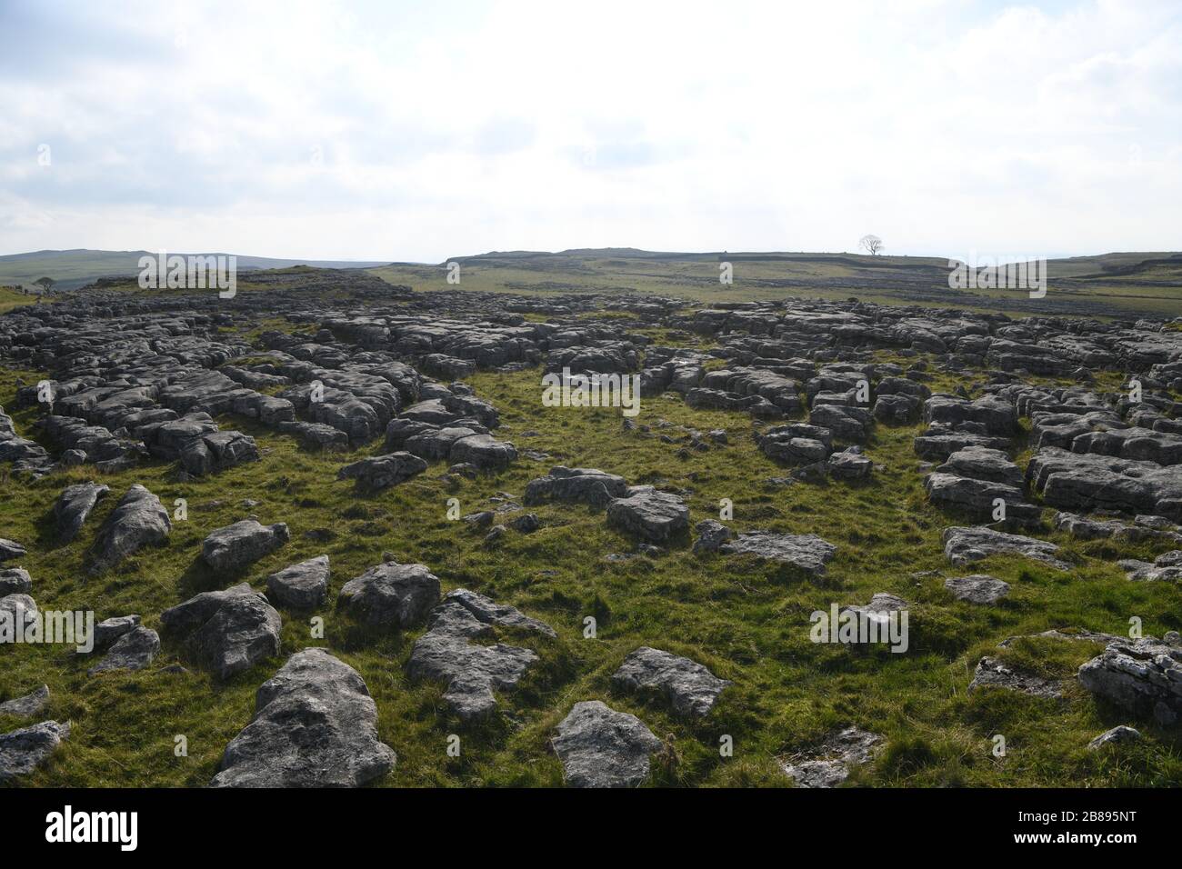 Limestone pavement in the Malham area, North Yorkshire, England, UK ...