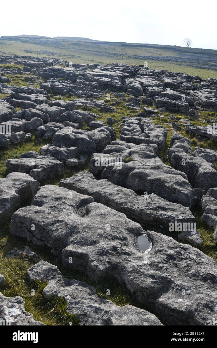 Limestone pavement in the Malham area, North Yorkshire, England, UK ...