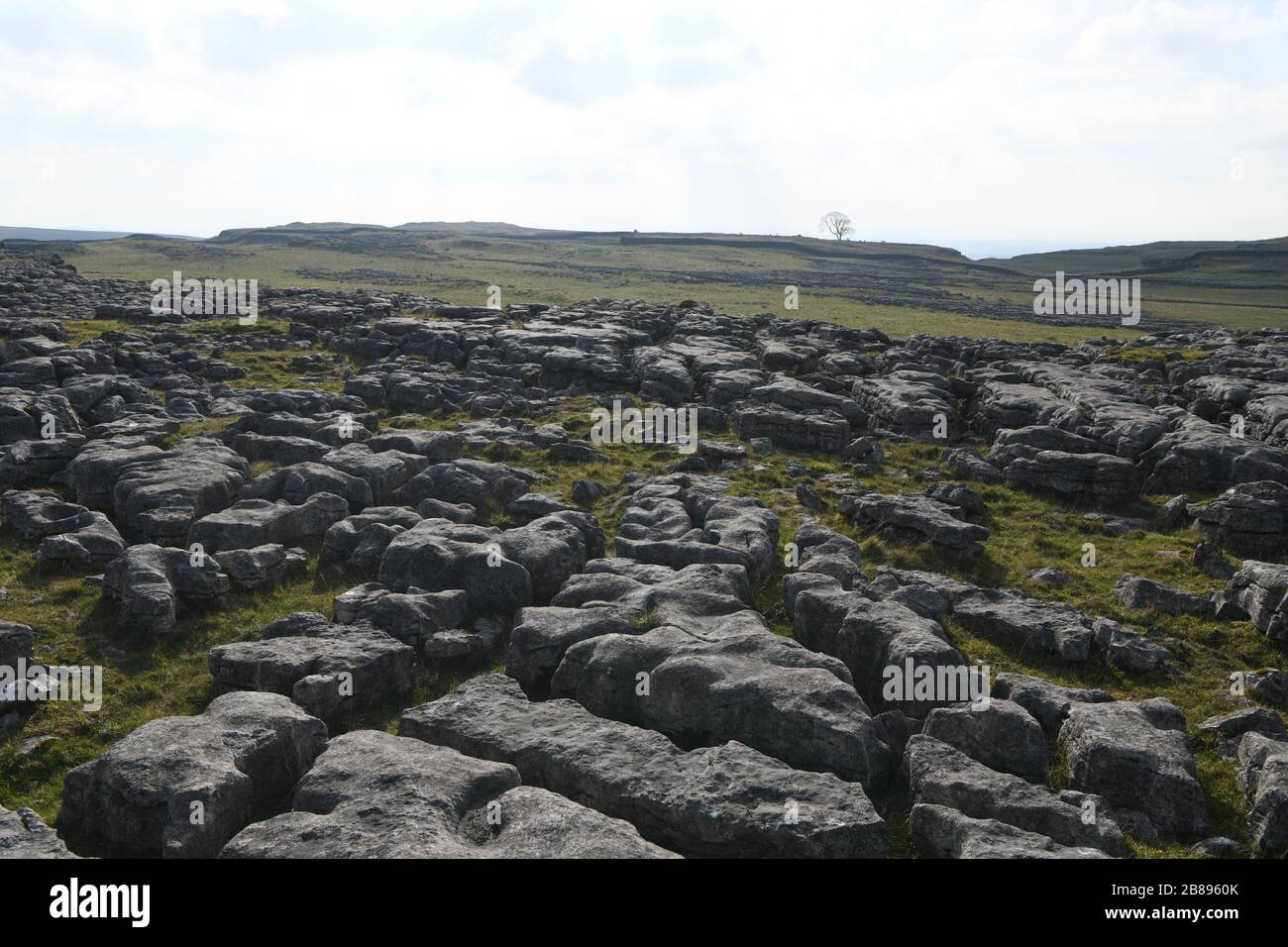 Limestone pavement in the Malham area, North Yorkshire, England, UK ...