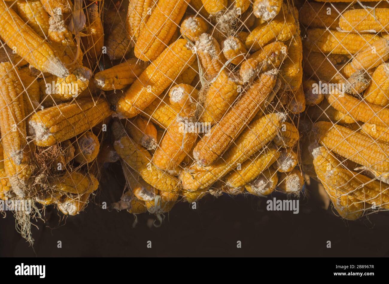 Farm grains hi-res stock photography and images - Alamy