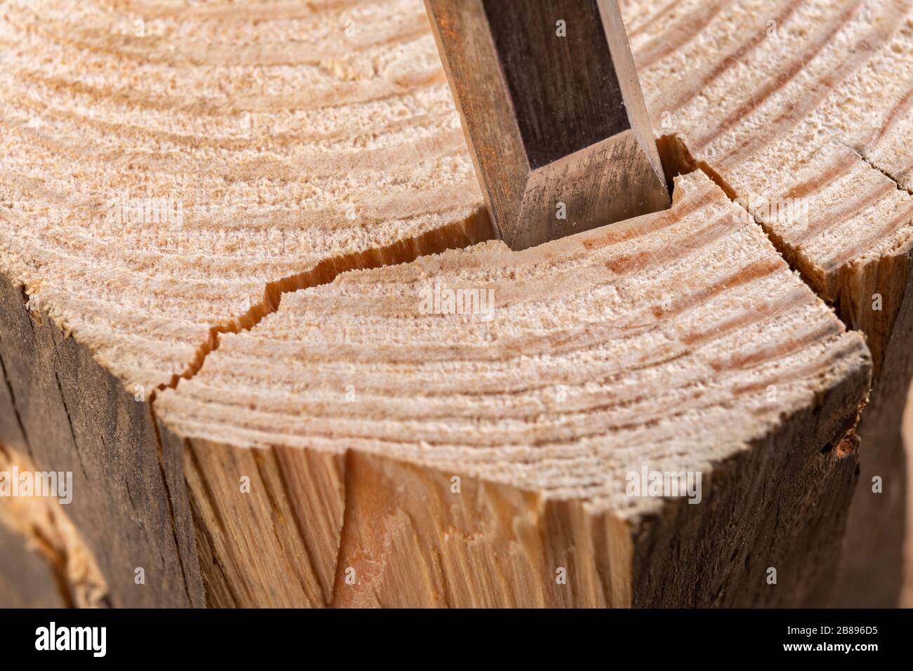 Work with a chisel in wood. Tools and accessories in a carpentry shop ...