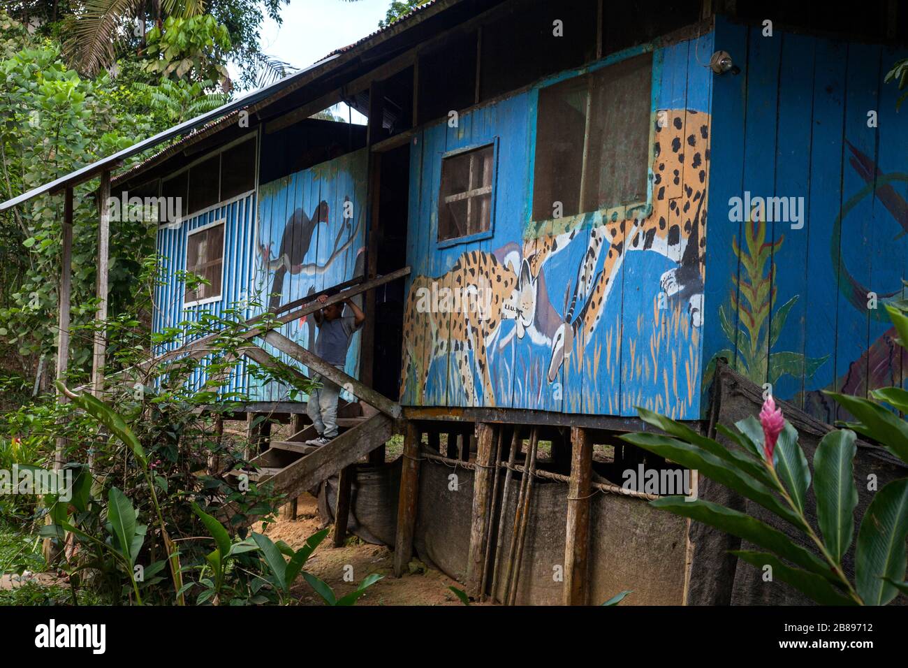 Exotic paintings on Indian houses of the Ticuna tribe community ...