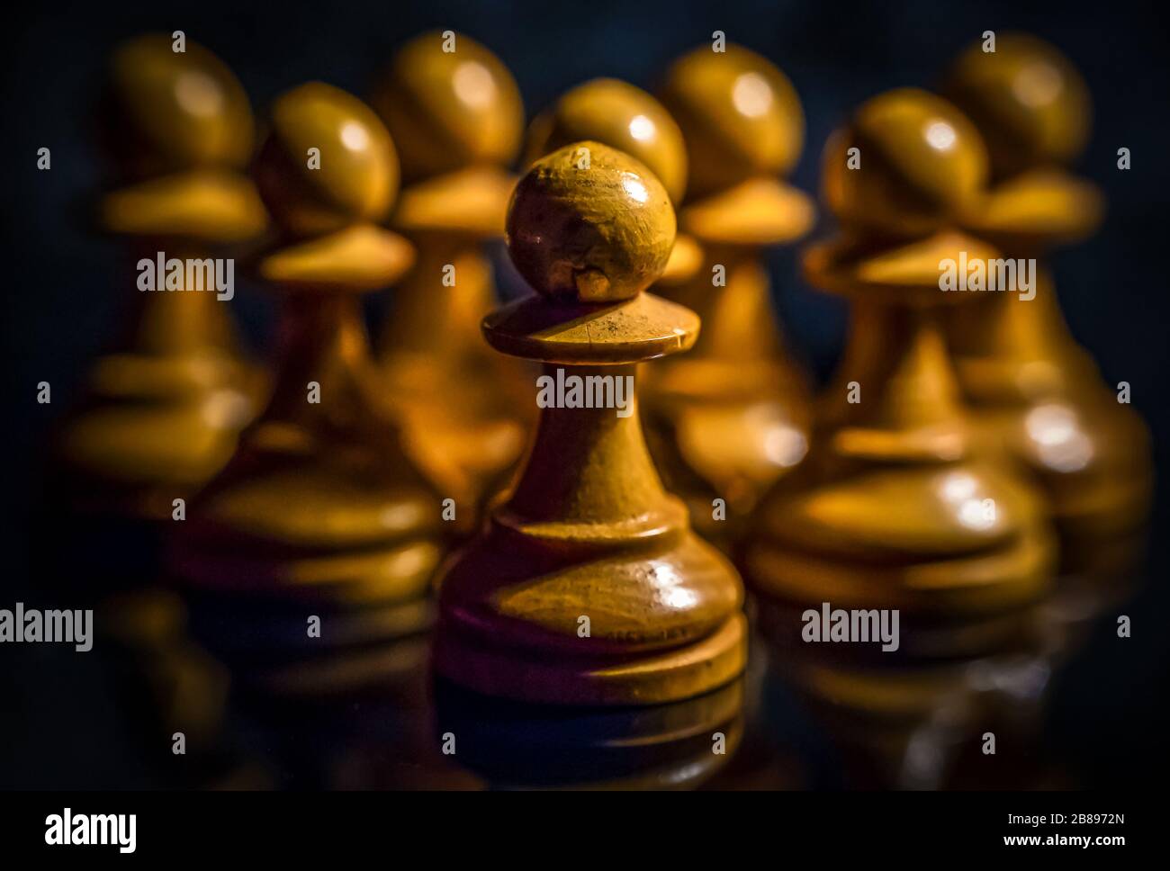 Chess pieces and brushes Stock Photo - Alamy