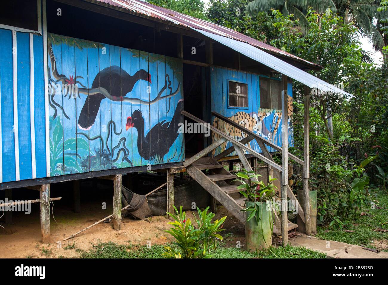 Exotic paintings on Indian houses of the Ticuna tribe community ...