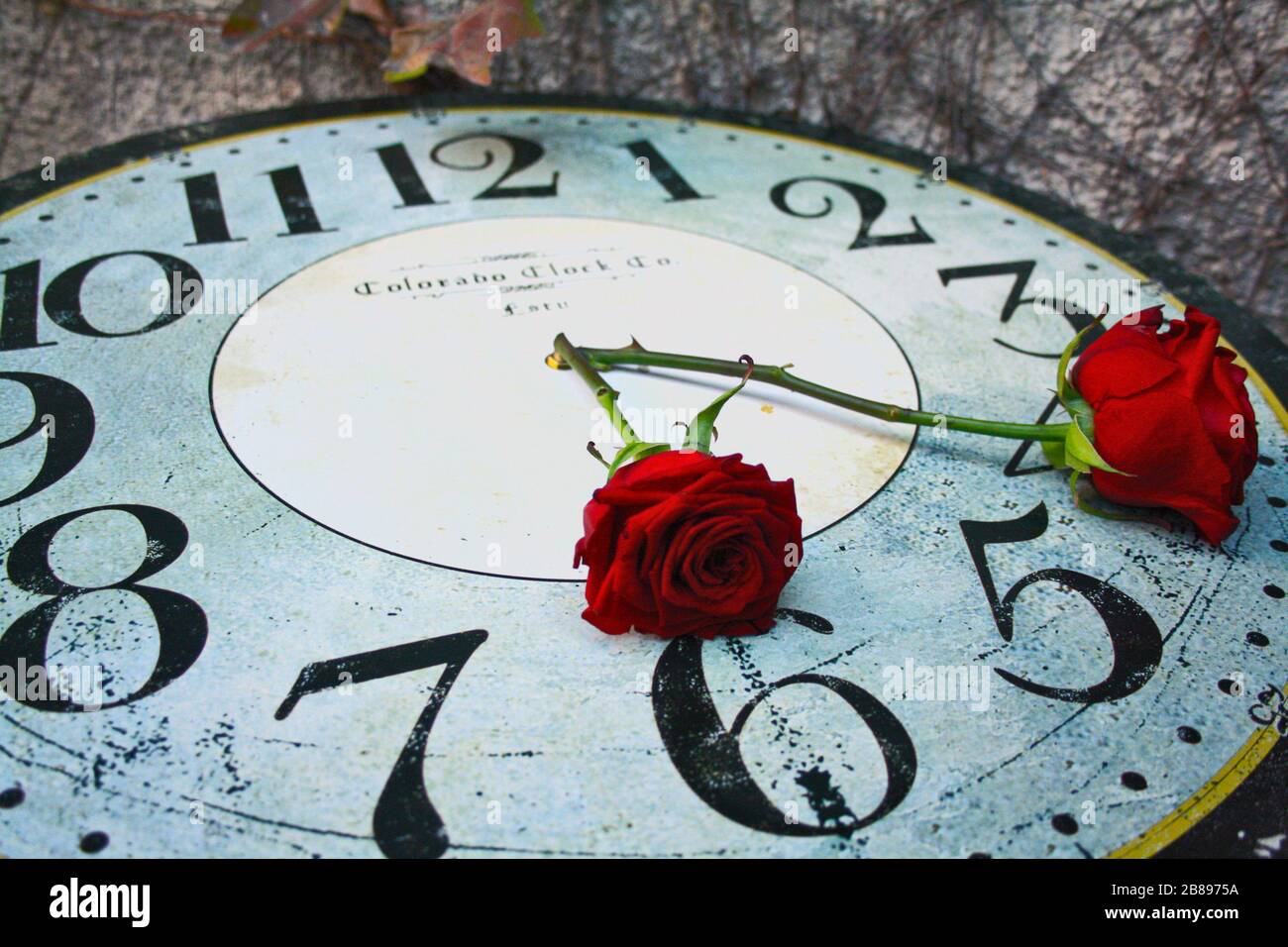 Vintage clock with red roses Stock Photo - Alamy