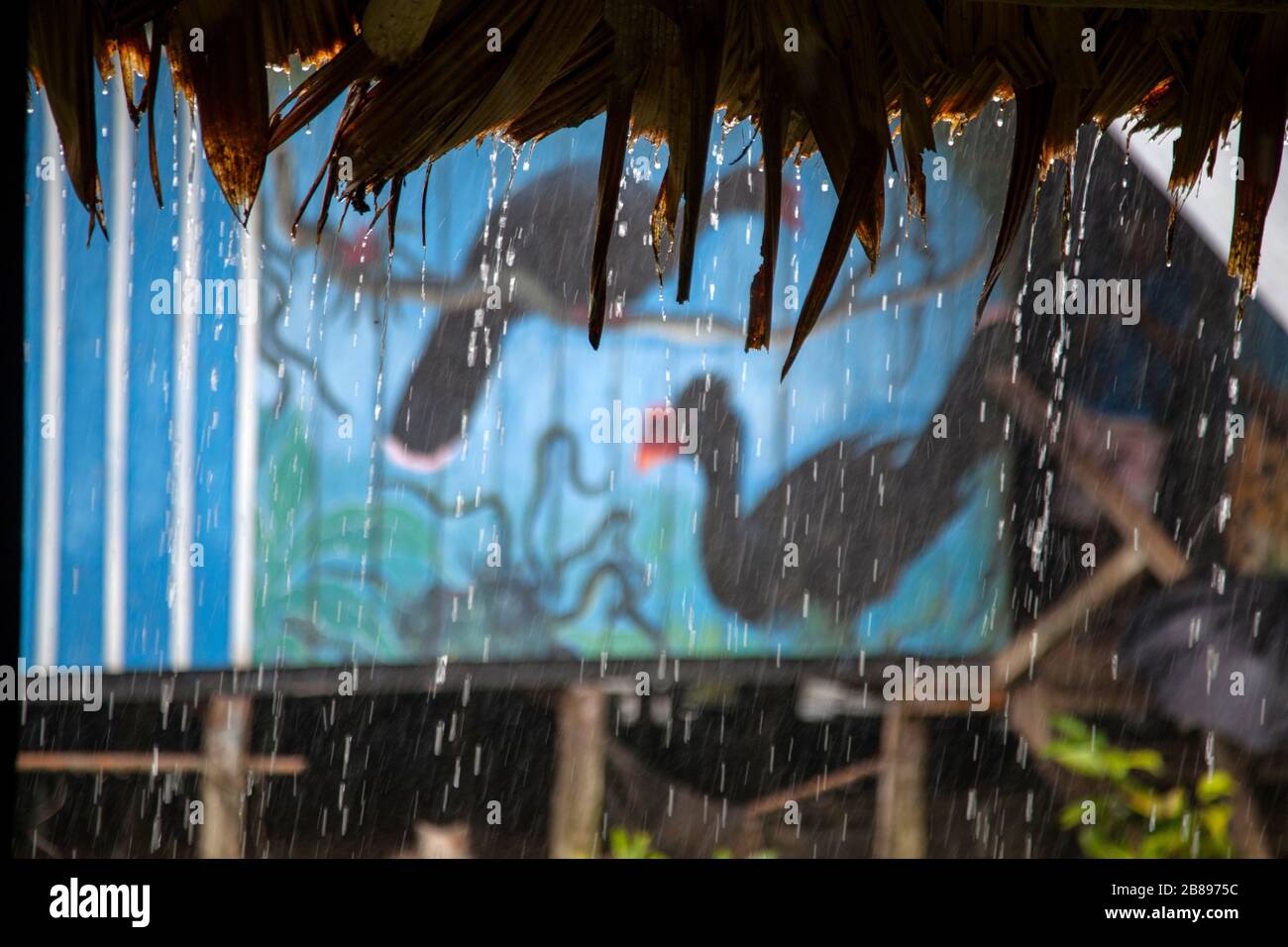 Exotic paintings on Indian houses of the Ticuna tribe community ...