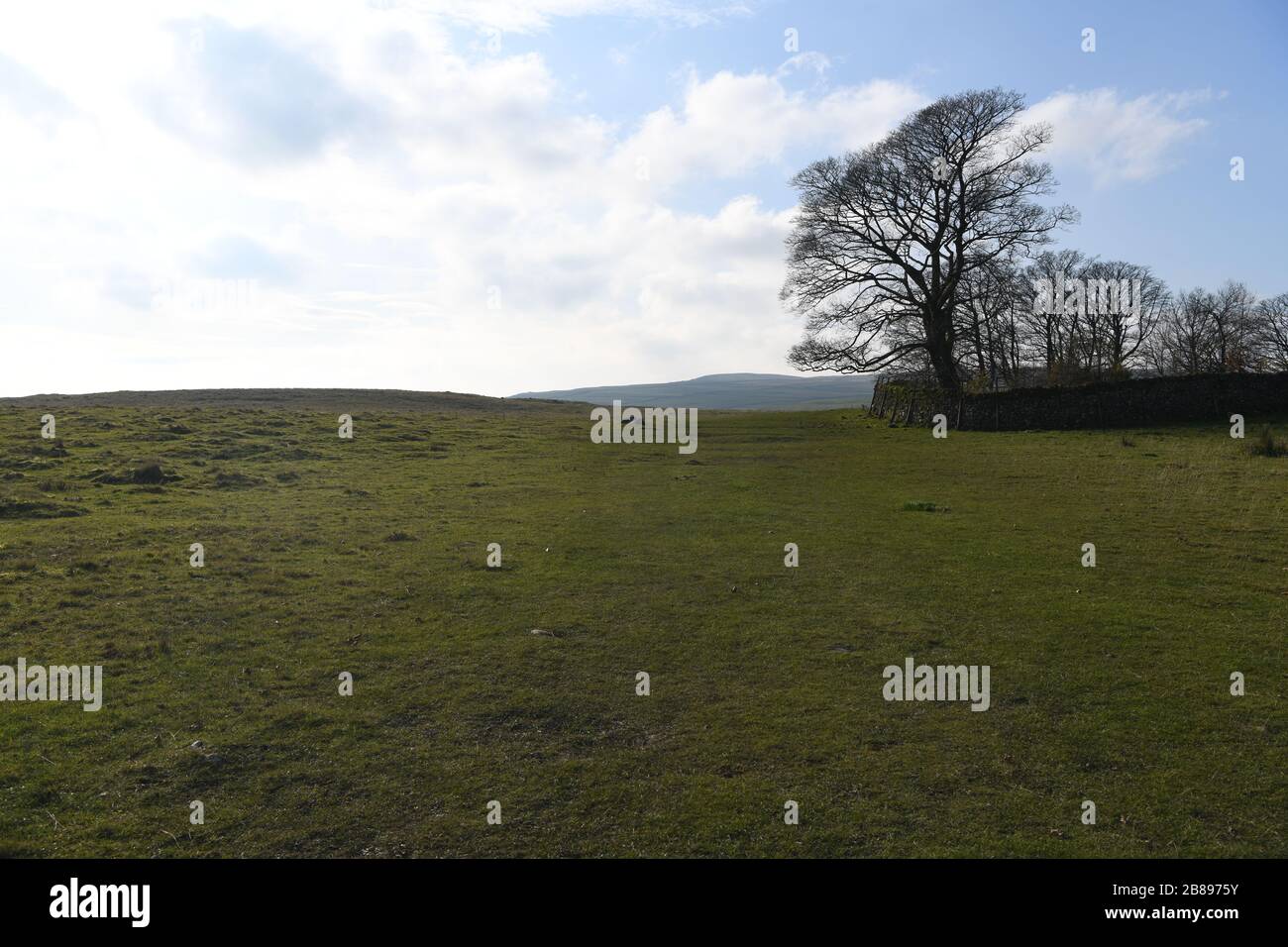 Malham Tarn Estate, National Trust, North Yorkshire, England UK Stock ...