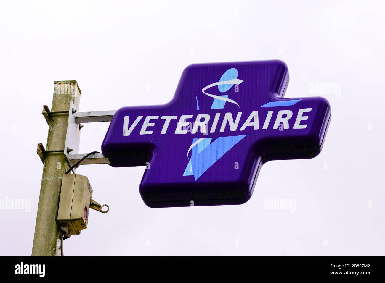 Veterinary logo hi-res stock photography and images - Alamy