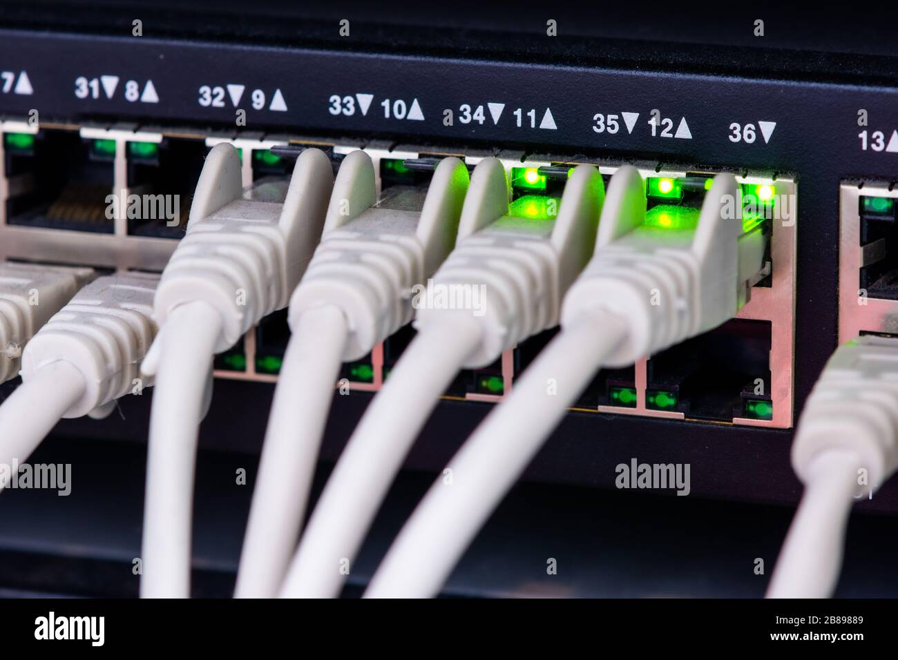 Ethernet cables connected to the Network Switch in office Stock Photo - Alamy