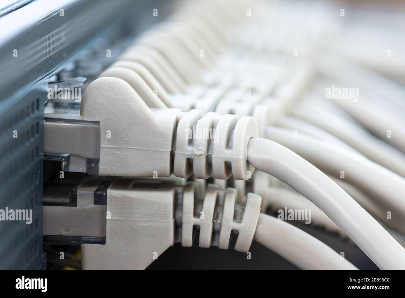 Ethernet cables connected to the Network Switch in office Stock Photo ...