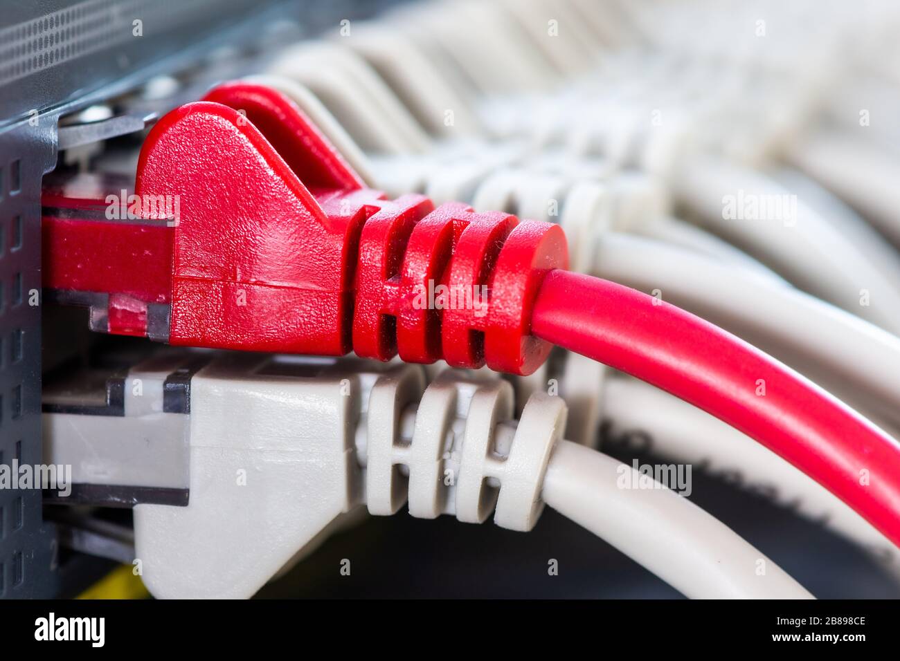 Ethernet cables connected to the Network Switch in office Stock Photo ...