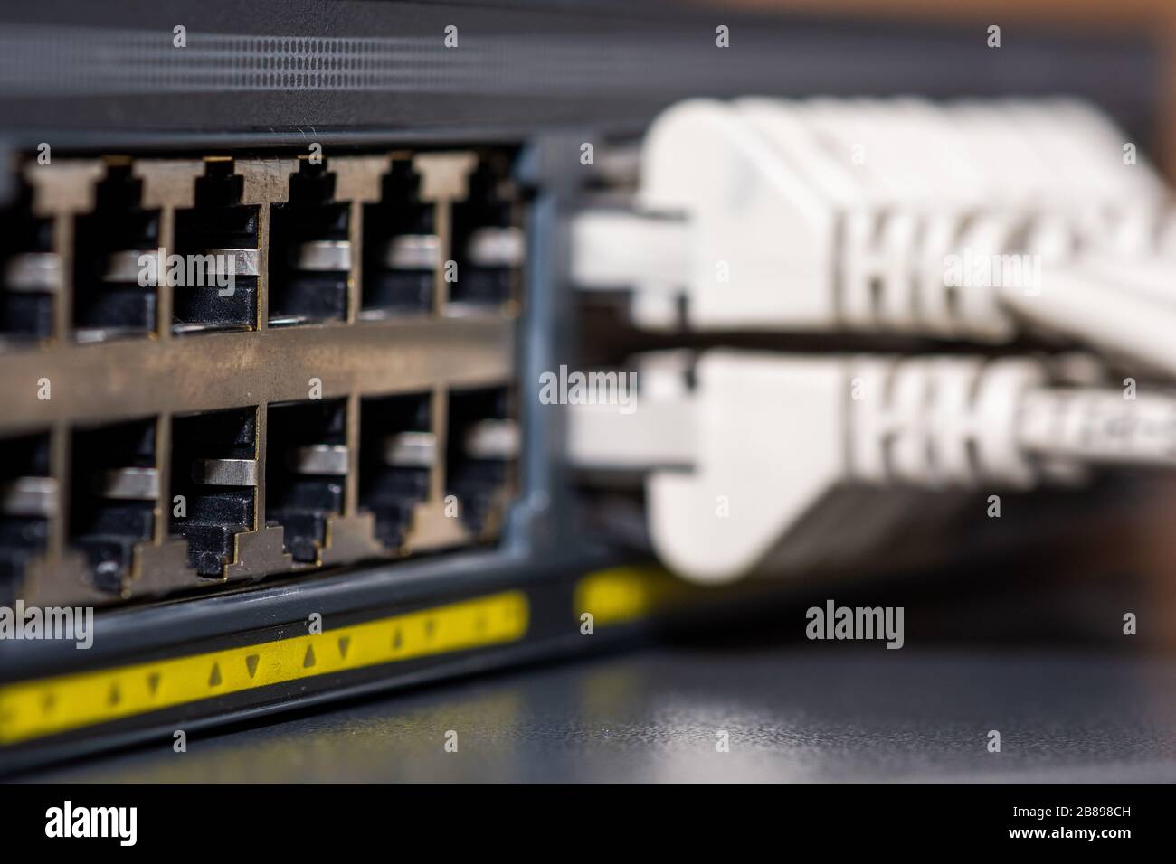 Ethernet cables connected to the Network Switch in office Stock Photo ...