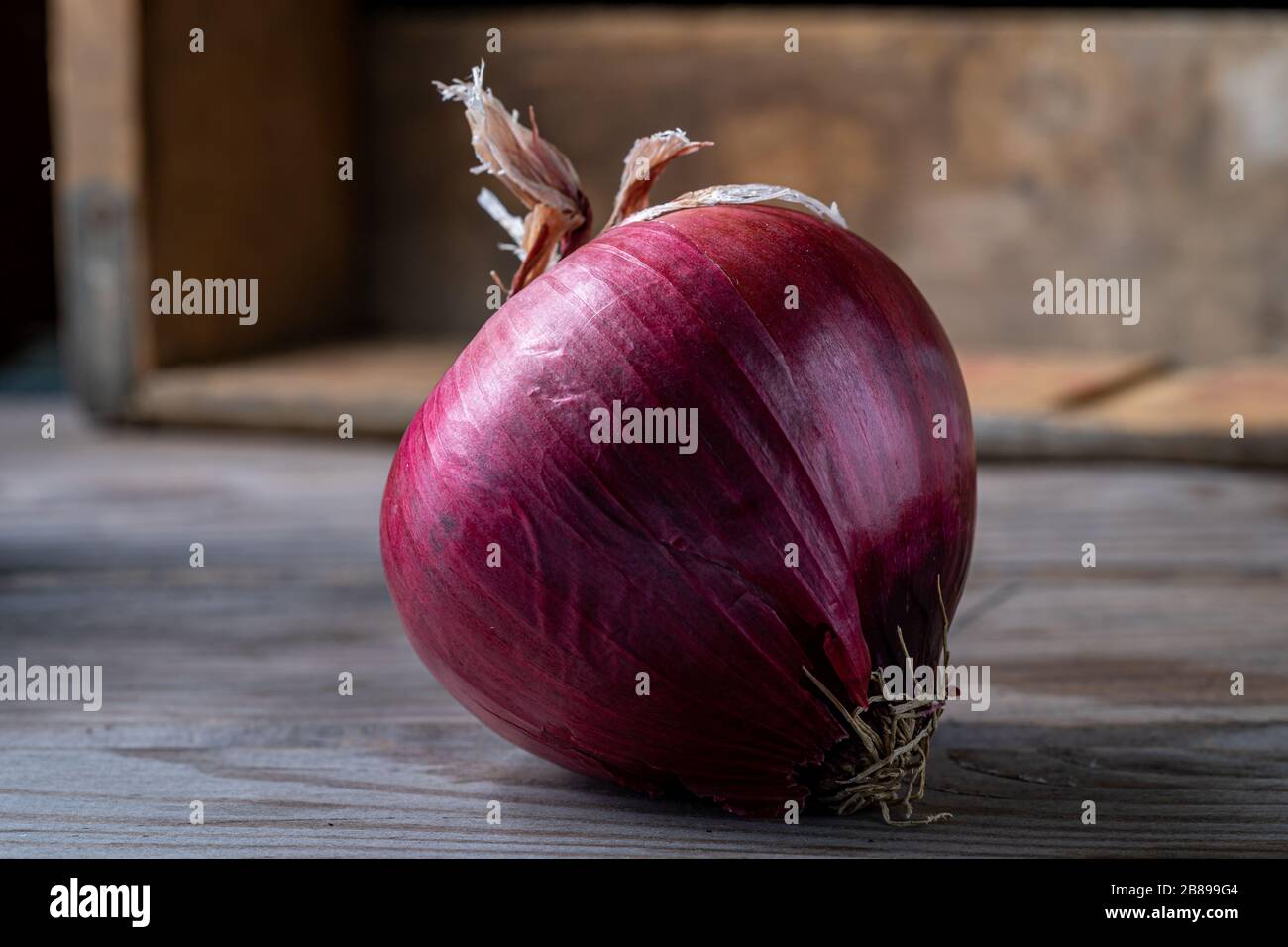 Red onion isolated Stock Photo - Alamy