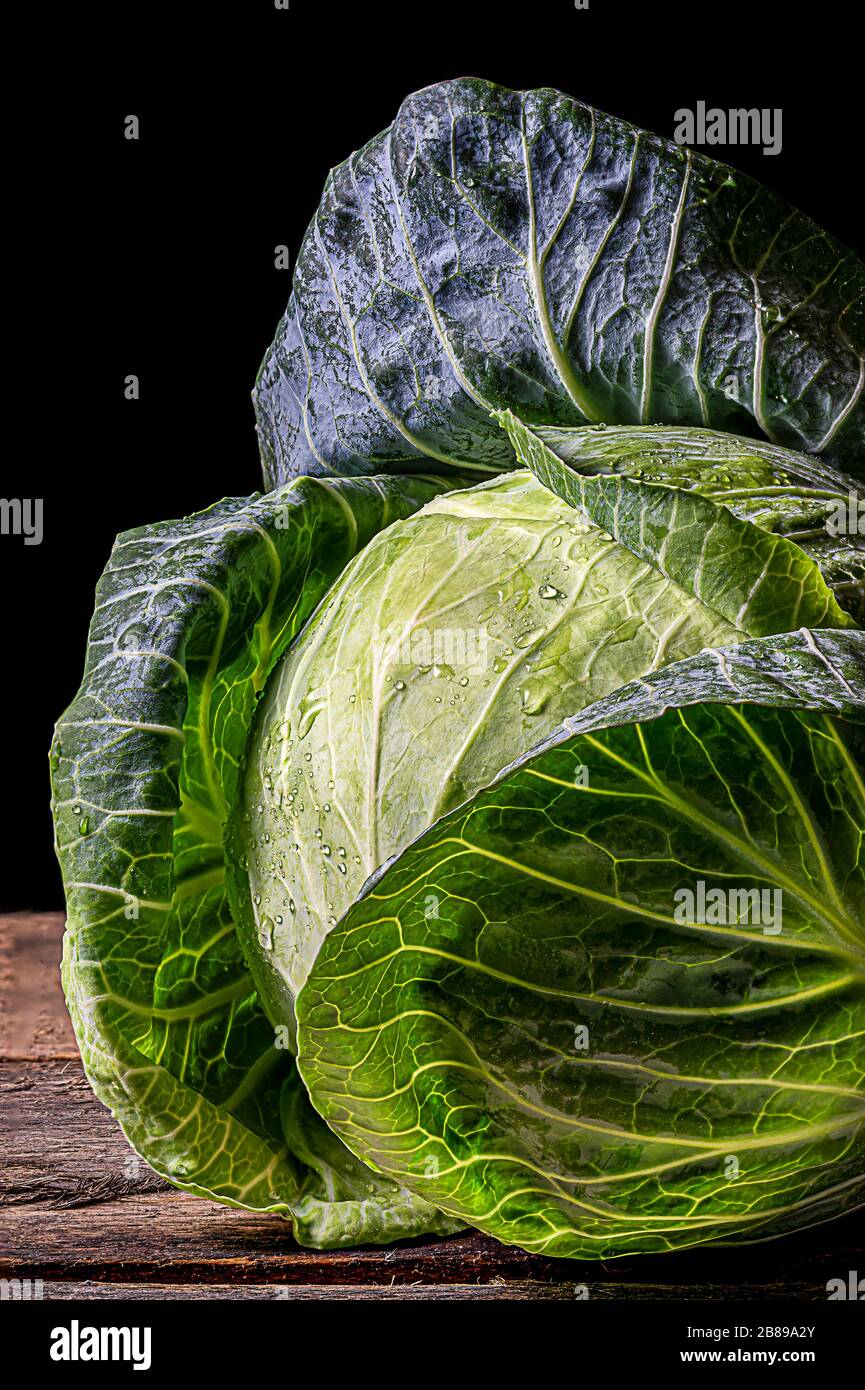 Cabbage head close up hi-res stock photography and images - Alamy
