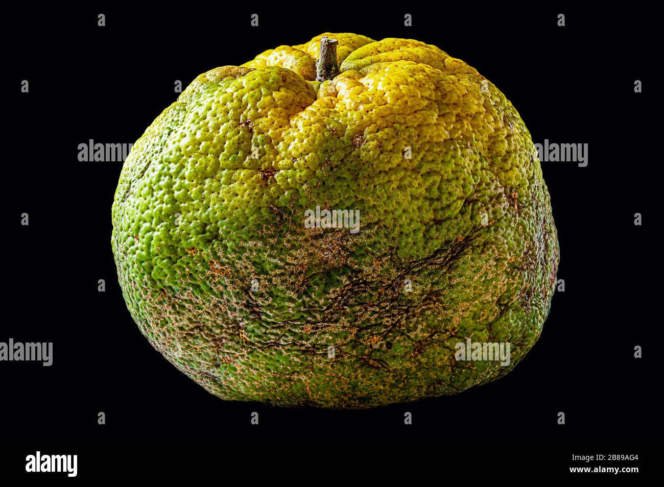 Ugli Fruit High Resolution Stock Photography and Images - Alamy