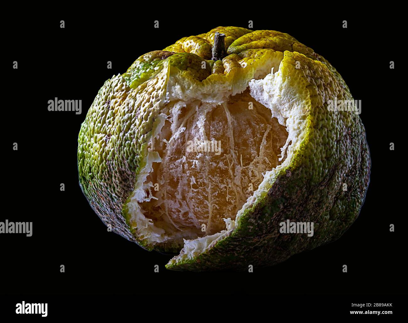 Ugli fruit hi-res stock photography and images - Alamy
