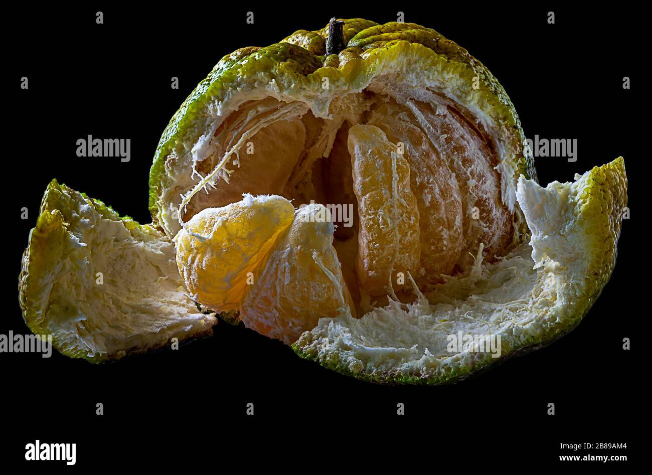 Ugli fruit hi-res stock photography and images - Alamy