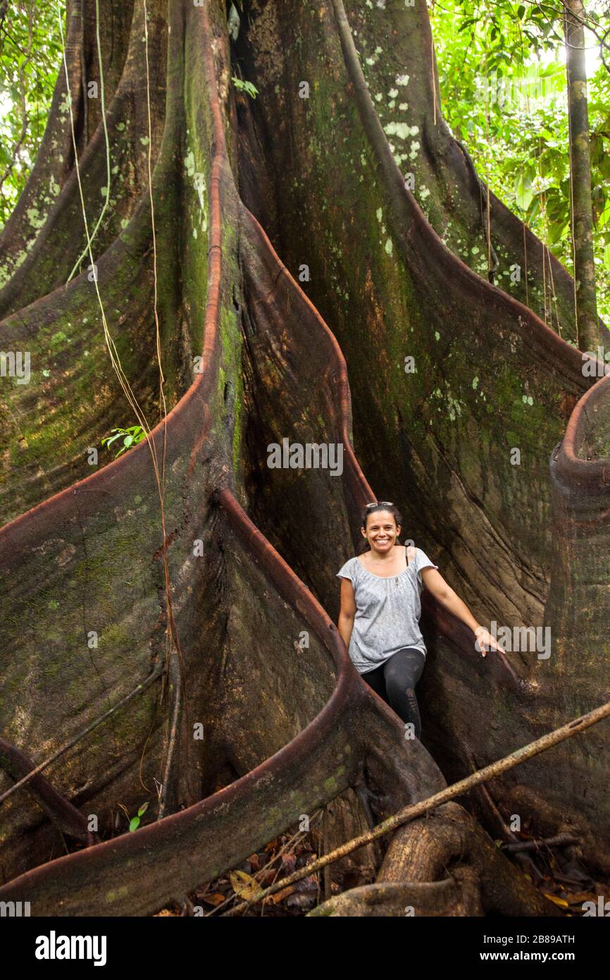 Young woman standing in the buttress roots of giant Oje tree in the ...