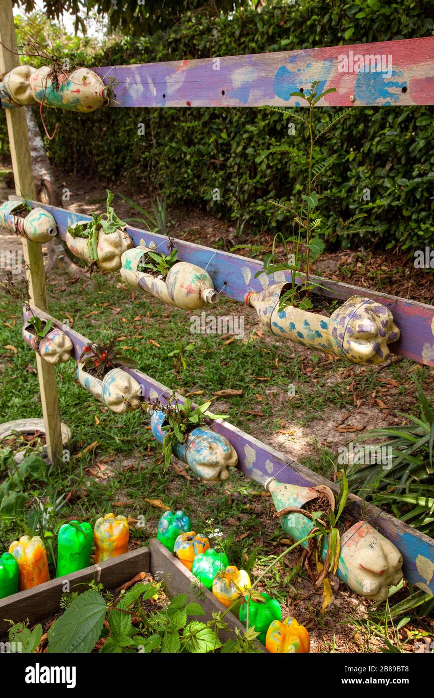School student recycle plastic bottles project, in the Amazon ,Leticia ...