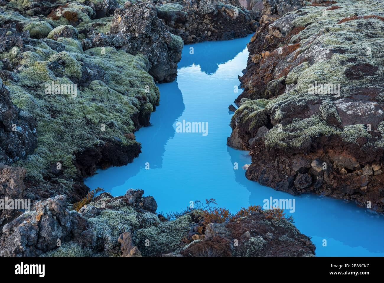Blue geothermal water in the blue lagoon in Iceland Stock Photo - Alamy