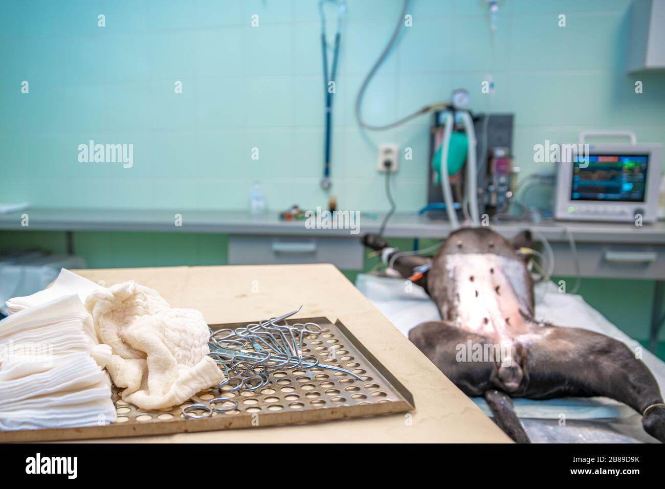 surgical instruments ready for surgery in the operating room. abdominal ...
