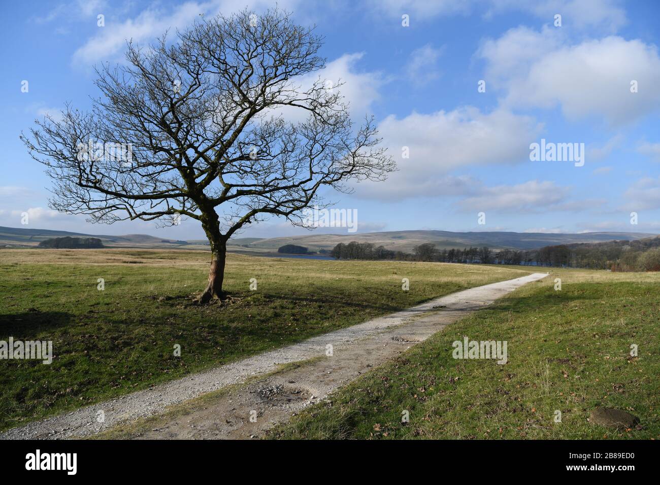 Road to Malham Tarn, Malham, North Yorkshire, England, UK Stock Photo ...