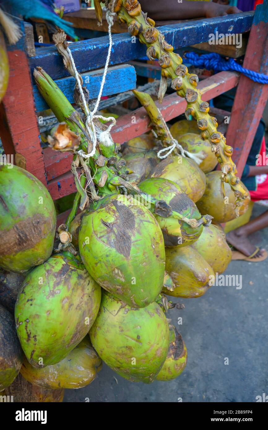 Oil palm fresh fruit bunch hi-res stock photography and images - Alamy