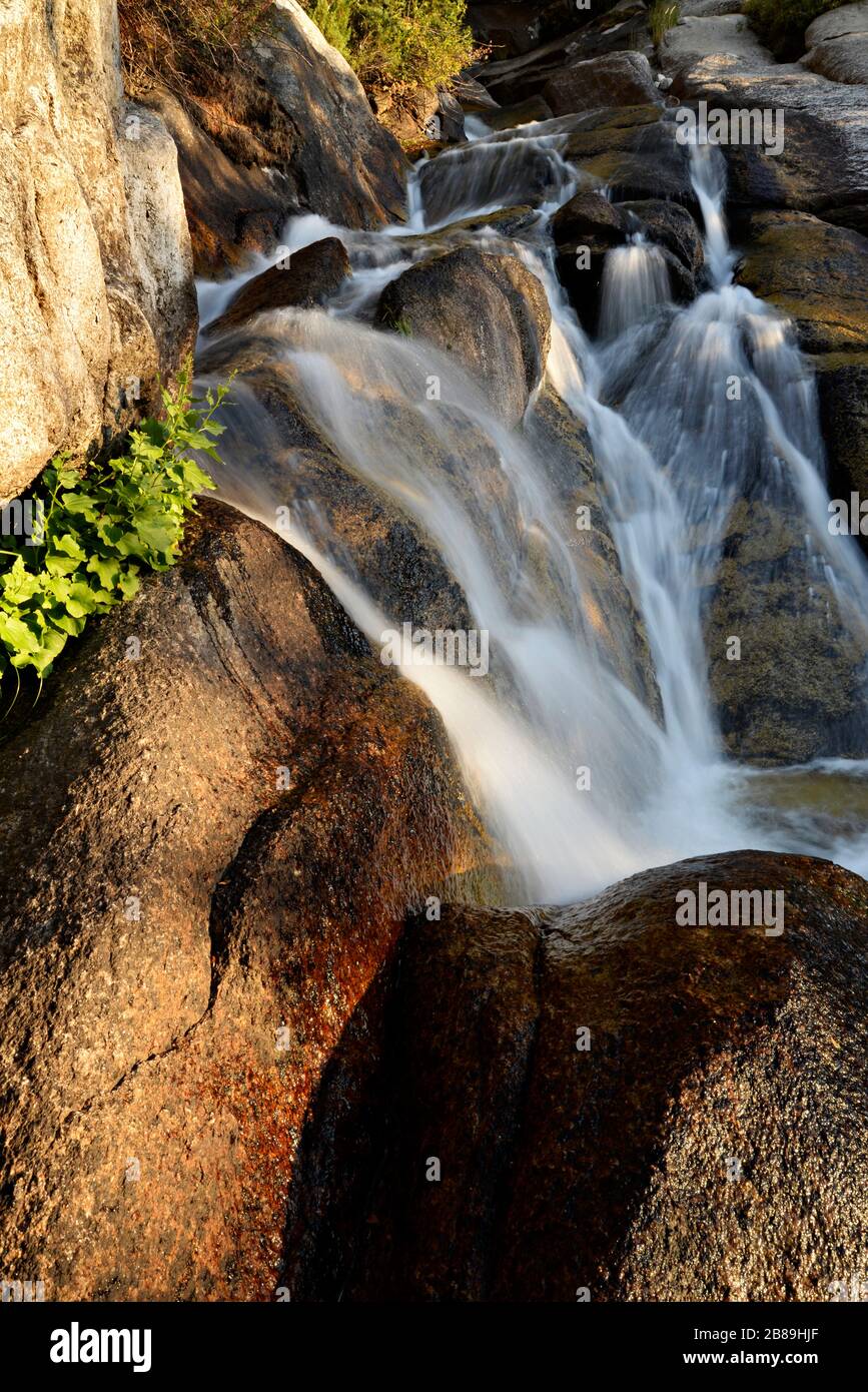 Light dappled water hi-res stock photography and images - Alamy